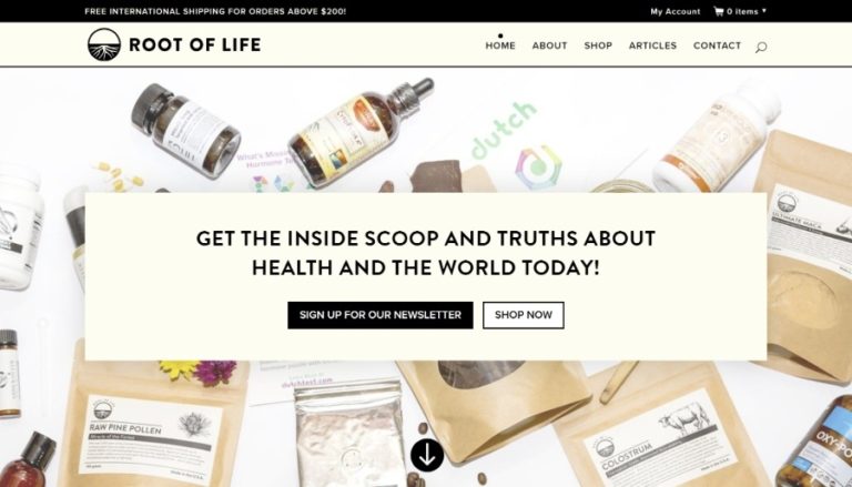 40 Examples of Elegant Themes Divi WordPress Theme (2022)