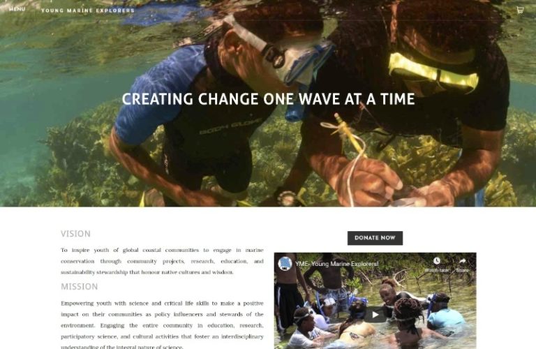 25+ Best Examples Of Websites Built With Weebly (2021)