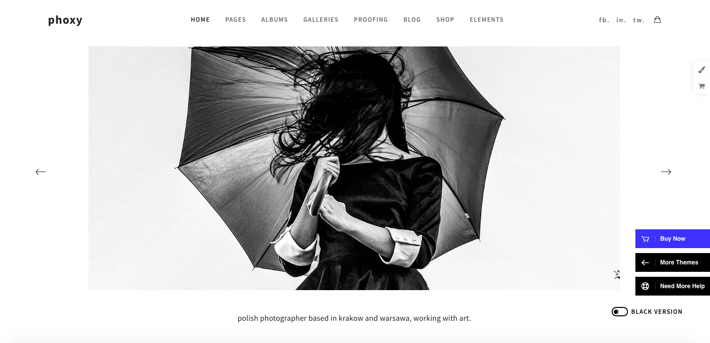 16+ Best WordPress Photography Themes of 2021