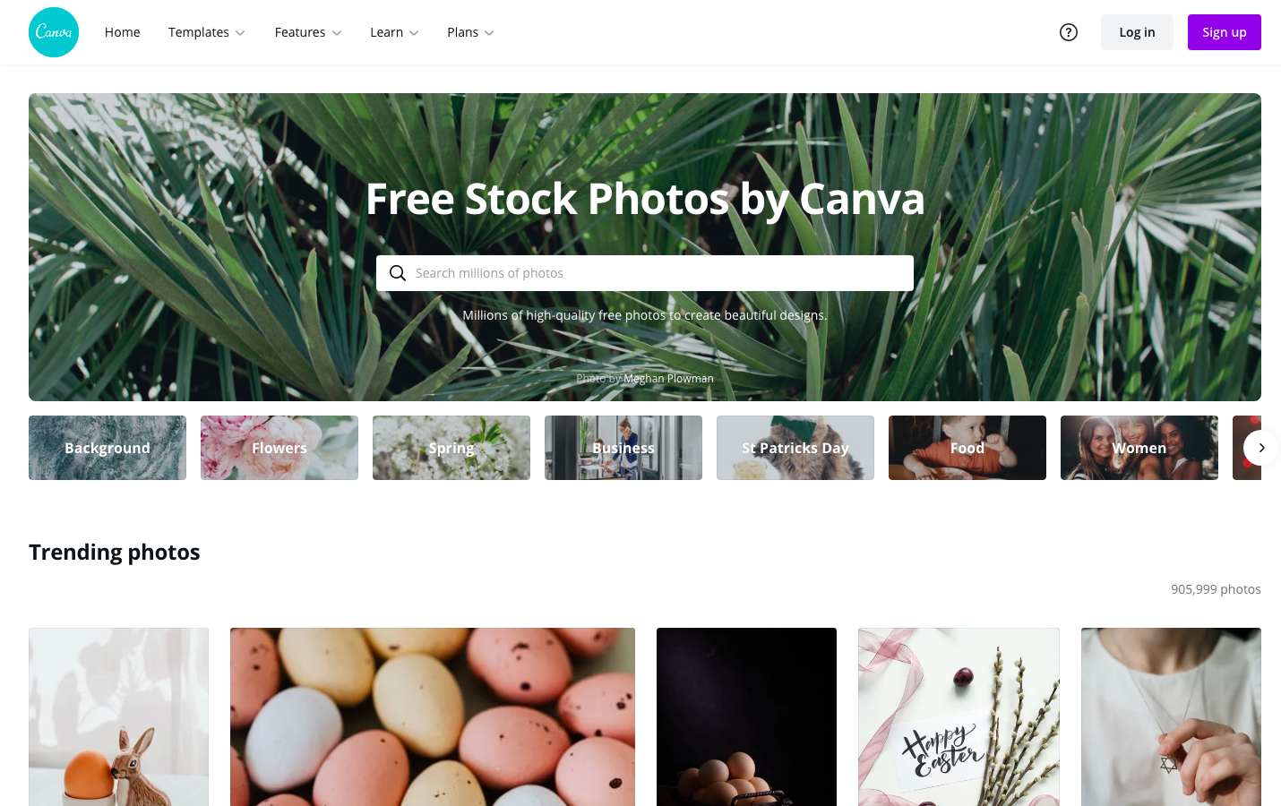 100 Places to Find the Best Free Stock Photos (2024)