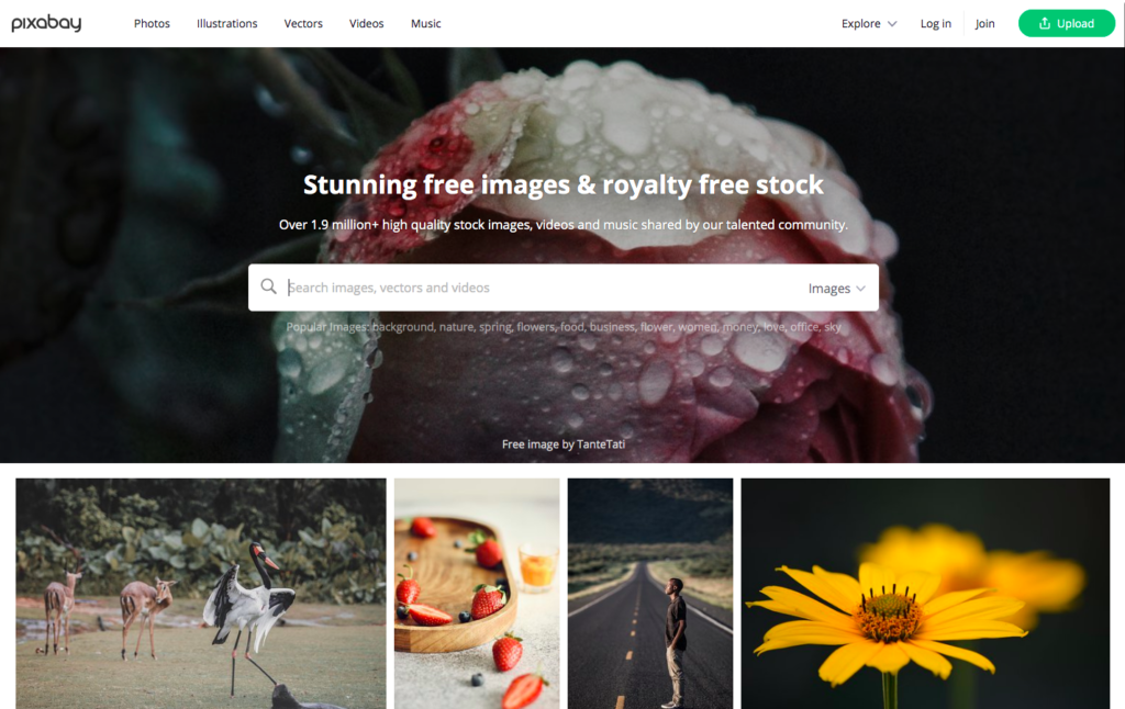 100 Places to Find the Best Free Stock Photos (2024)