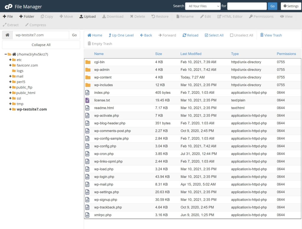 HostGator Review 2023: The Good & Bad (Honest Thoughts)