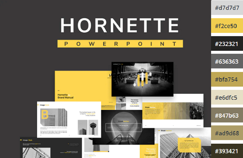 Presentation Color Palette