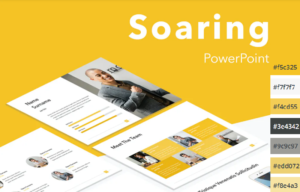 22 Best PowerPoint Color Schemes to Make Your Presentation Stand Out in ...