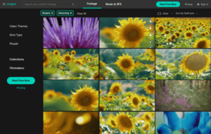 16 Best Stock Video Sites for High-Quality Stock Footage for 2025