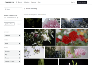16 Best Stock Video Sites for High-Quality Stock Footage for 2025