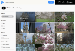 16 Best Stock Video Sites for High-Quality Stock Footage for 2025