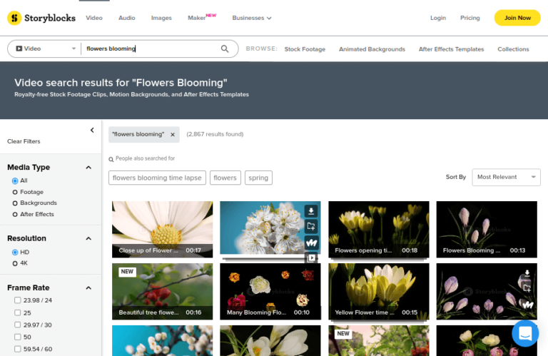 16 Best Stock Video Sites for High-Quality Stock Footage for 2025