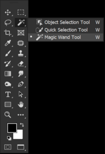 How to Use the Quick Selection Tool in Photoshop