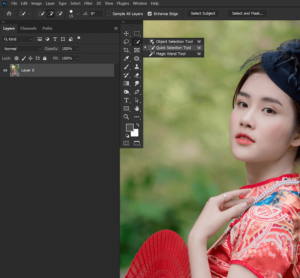 How to Use the Quick Selection Tool in Photoshop