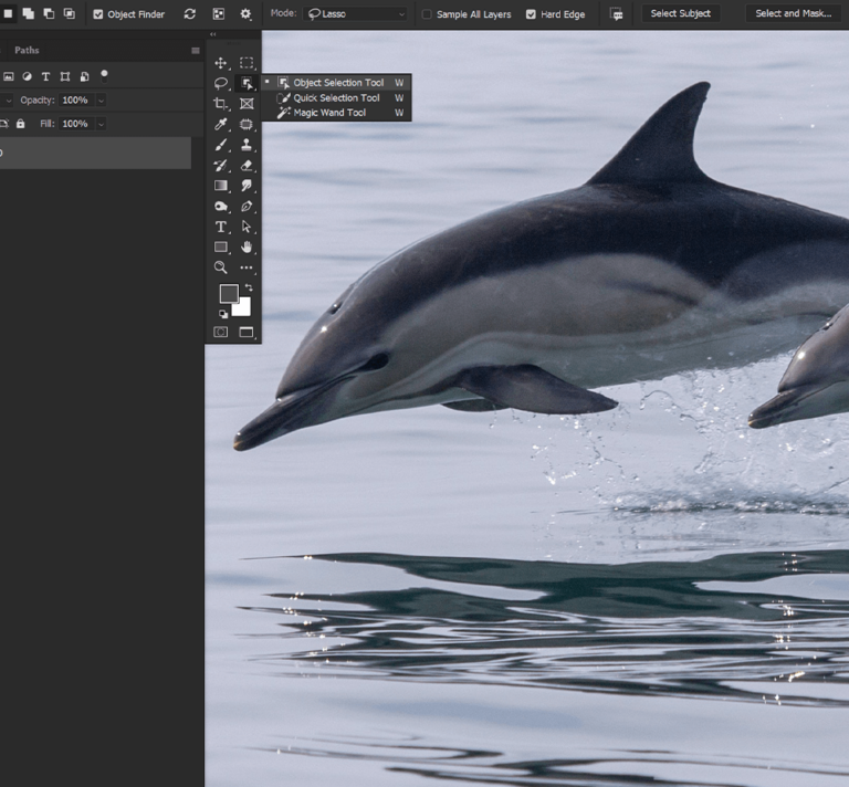 How to Use the Quick Selection Tool in Photoshop