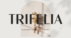 18 First-Class Business and Corporate Fonts for 2024