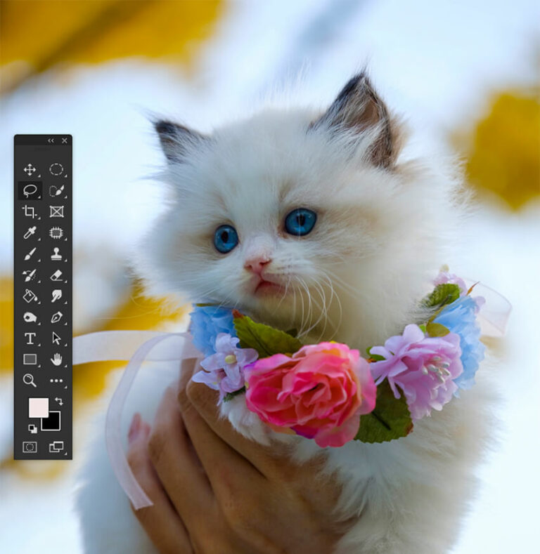 How to Cut Out an Image in Photoshop