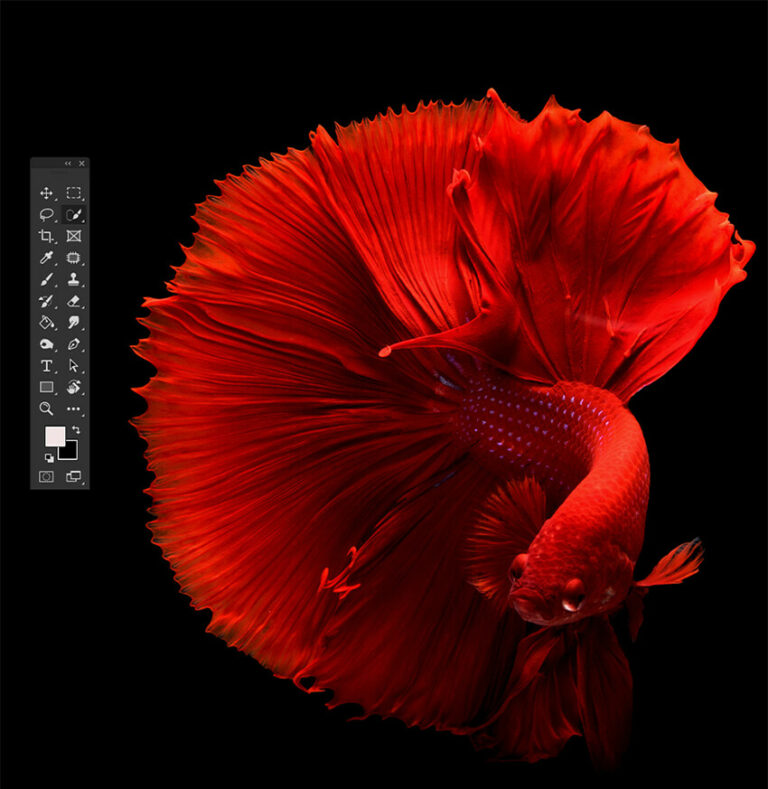 How to Cut Out an Image in Photoshop