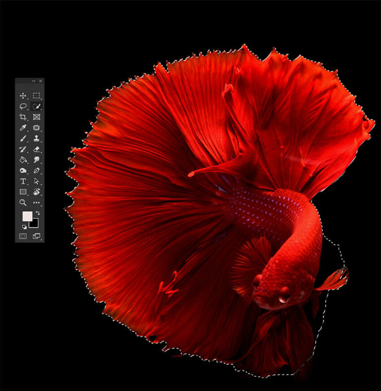 How to Cut Out an Image in Photoshop
