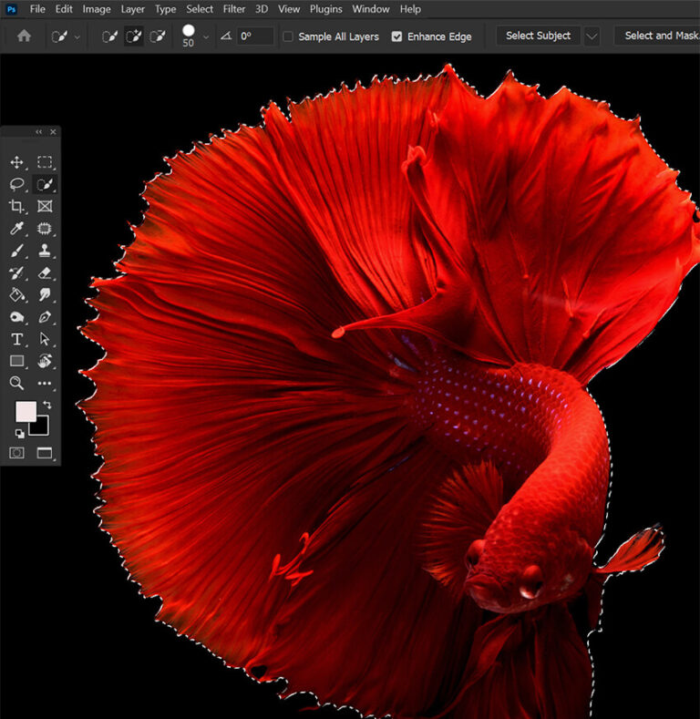 How to Cut Out an Image in Photoshop