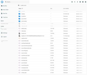 Hostinger Review 2024: The Good & Bad (Honest Thoughts)